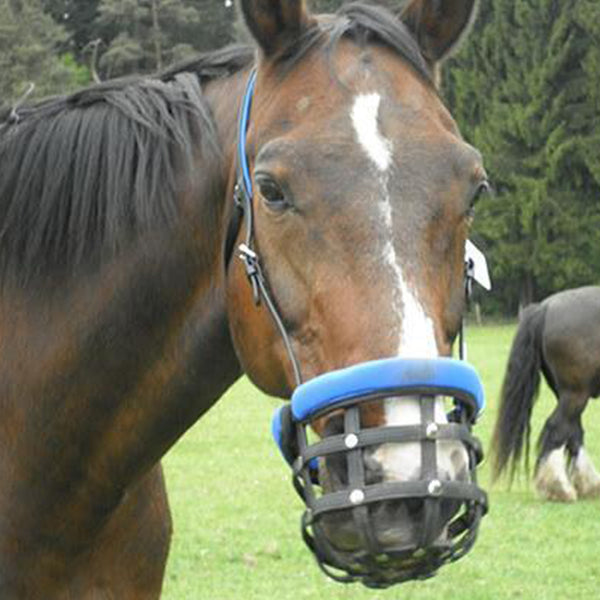 EasyGrazer® Grazing Muzzle – EasyGrazer® - the Grazing Muzzle