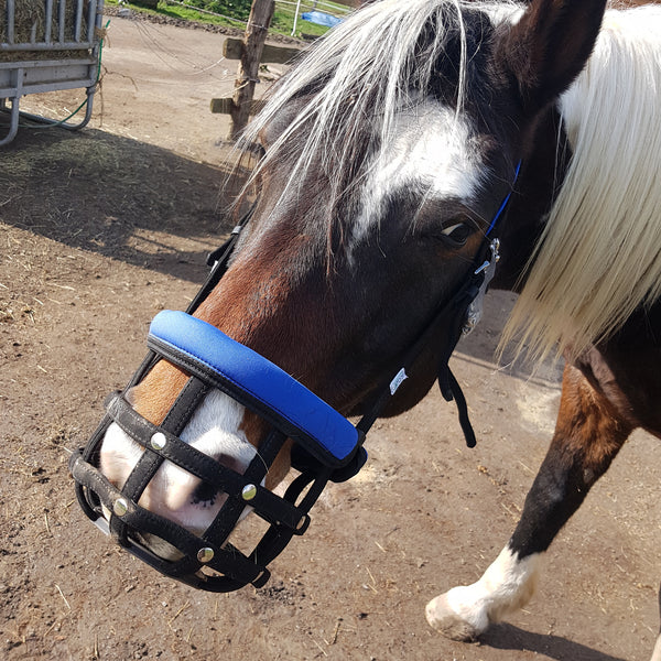 EasyGrazer® Grazing Muzzle – EasyGrazer® - the Grazing Muzzle